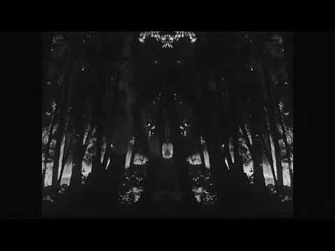 slowgramming x SCP - Among the Trees with Lily Veselka (SCP-3002)