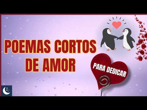 9 Poemas Cortos de Amor para Dedicar 💌 | Frases que Llegan al Corazón