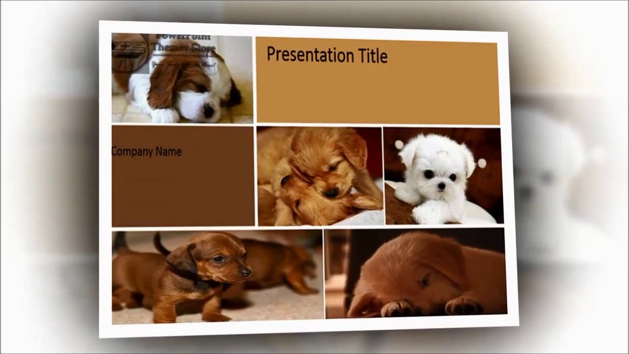 Best PowerPoint Templates 2017 - Wildlife & Pets