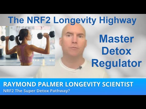 NRF2 Longevity Highway - Master Detoxing
