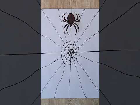 spider vs flies #spider#shorts #tiktok #asmr#drawing#web🕸