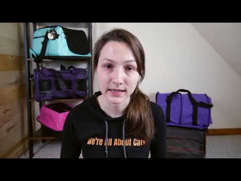 Sherpa Travel Original Deluxe Airline Approved Pet Carrier Review (We Tried It)