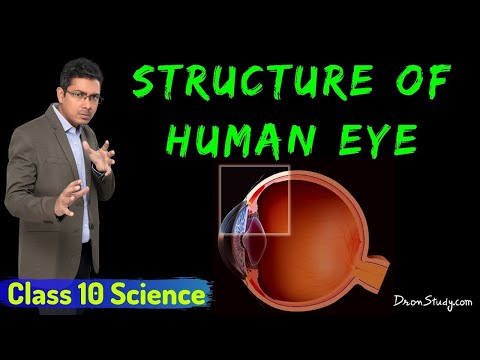 Human Eye : Structure of Human Eye : CBSE Class 10 Science - Free ...