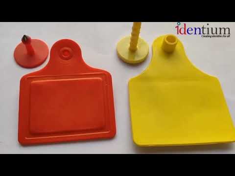 Identium Tech Solutions Private Limited, New Delhi - Manufacturer of ...