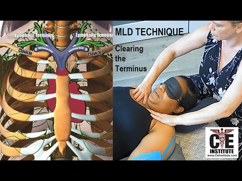 Manual Lymphatic Drainage TECHNIQUE: MLD Pumping & Clearing the Terminus
