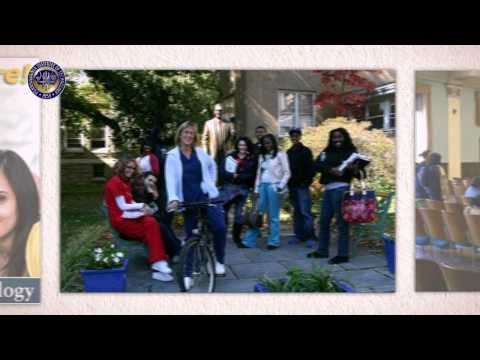Information Technology Associate Degree Delaware County