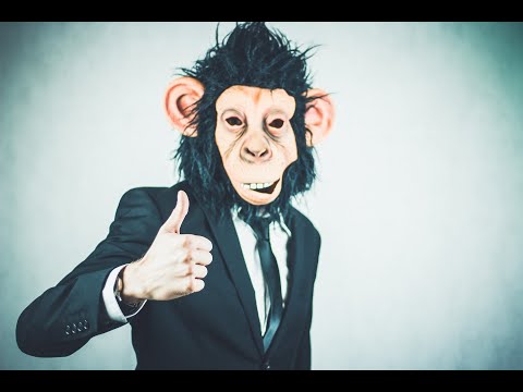 What is Confirmation Bias in Psychology? 2 Educational Examples Explain Meaning