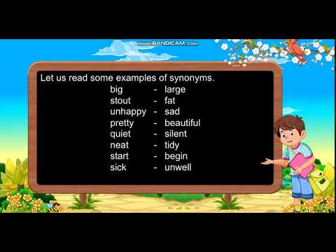 Class 2: Synonyms