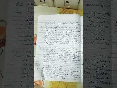 Lord of the flies( Some Imp questions continue)