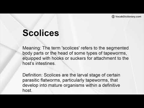 Scolices Meaning
