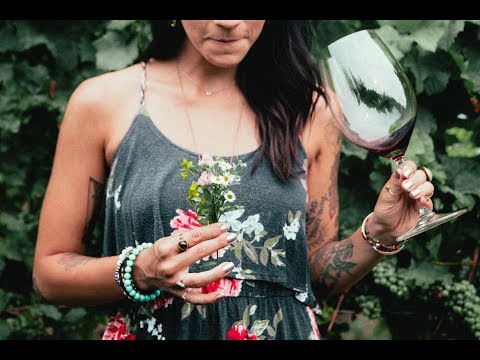 ✅ orquideas significado 🌺🌸 ORQUÍDEA E ORQUIDEAS