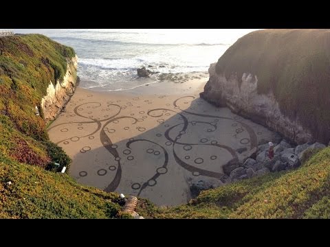 Aliens invade our beaches ? | Xpressions Lifestyle