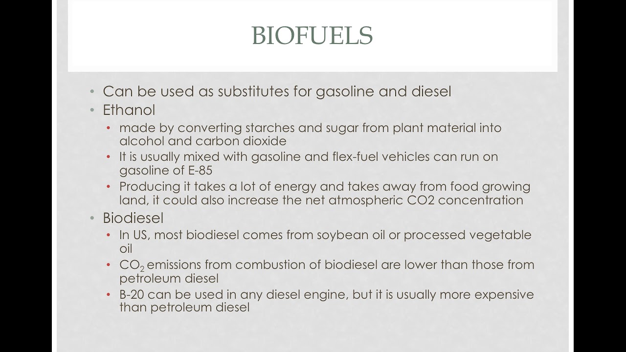 Chapter 13 Study Guide Part 1