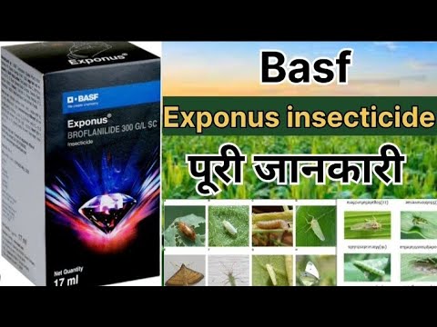 BASF Insecticides - Latest Price, Dealers & Retailers in India