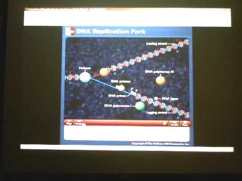 KGV/EBS Lecture 1 Part 2