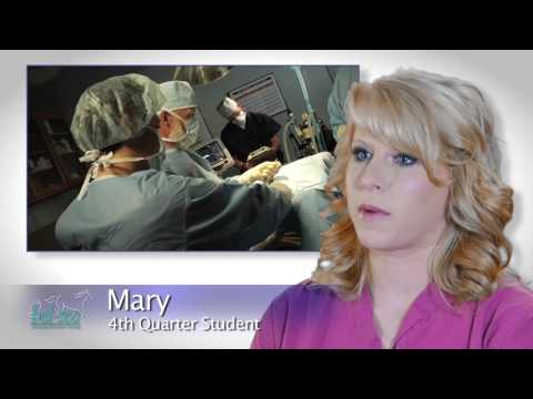 Hands-on Training - Bel-Rea Vet Tech