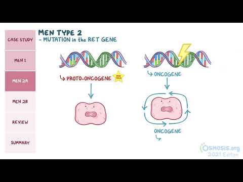 MEN SYNDROME pathology review