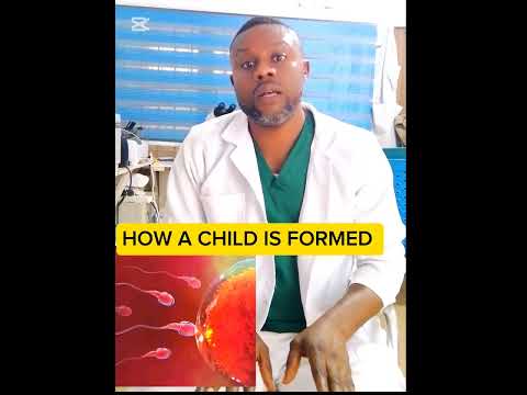 HOW A CHILD IS FORMED