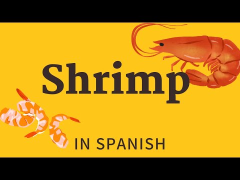 Daily Spanish word | How do you say (“shrimp”) in Spanish shrimp🦐