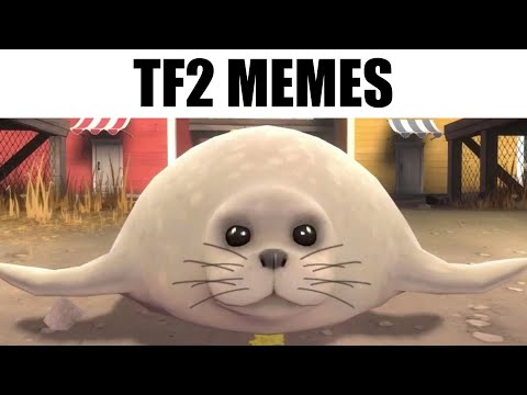 TF2 Memes That Saved the Seals