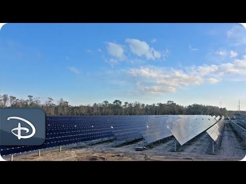 Nova usina de energia solar entra em operação no Walt Disney World ...