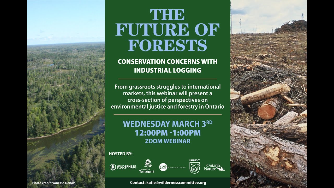 The Future of Forests