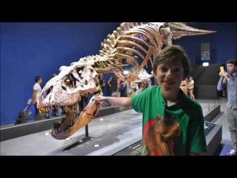 Tyrannosaurus rex Trix in Dutch Naturalis museum | Dear Kitty. Some blog