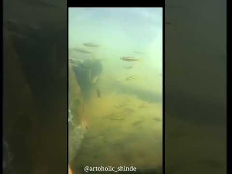 Lord Shiva Drawing Under Water