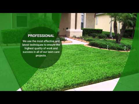 Lawn Care Tampa - (813) 501-6820 - Tampa Lawn Care