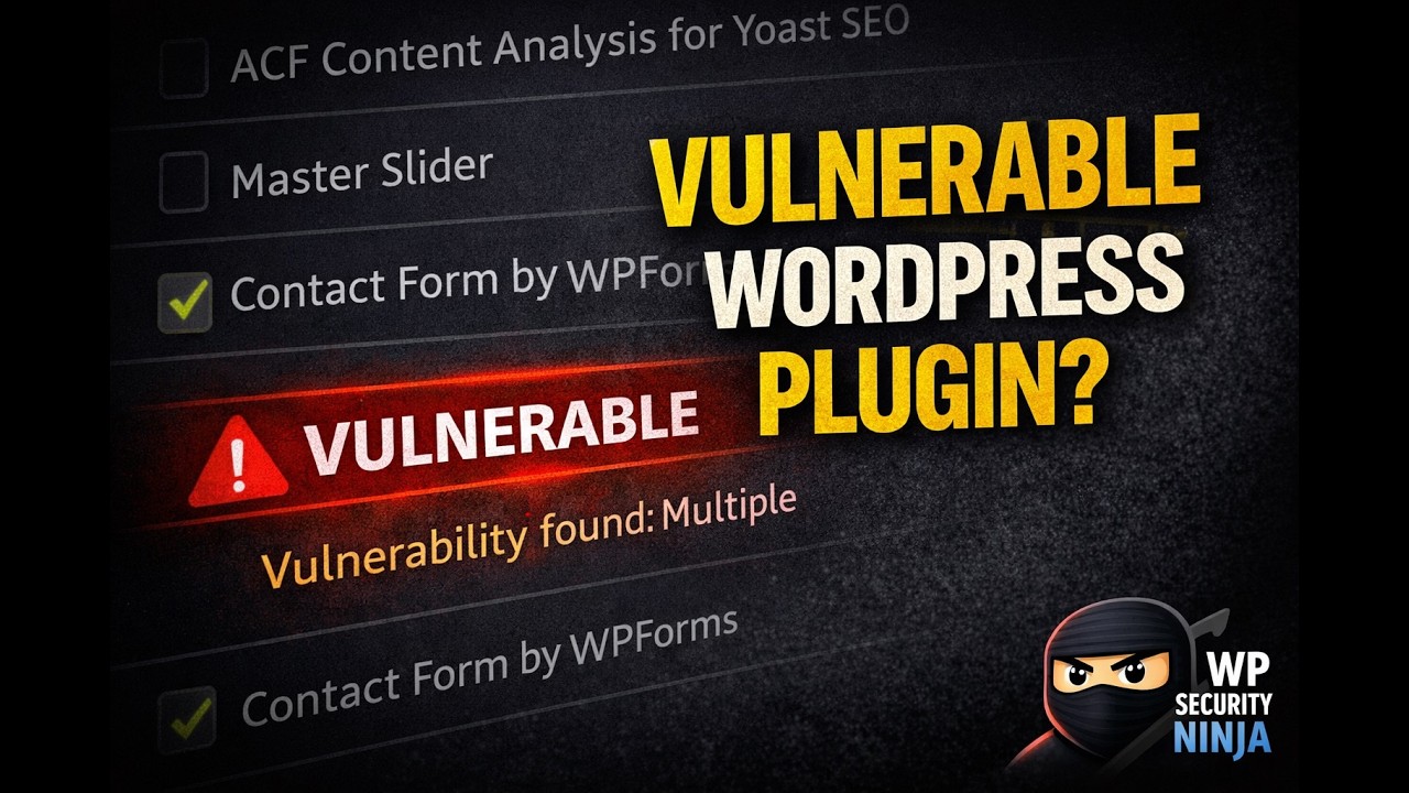 Vulnerable WordPress Plugin? Catch It Before It Becomes a Problem