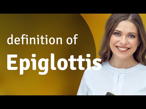 Epiglottis | EPIGLOTTIS definition