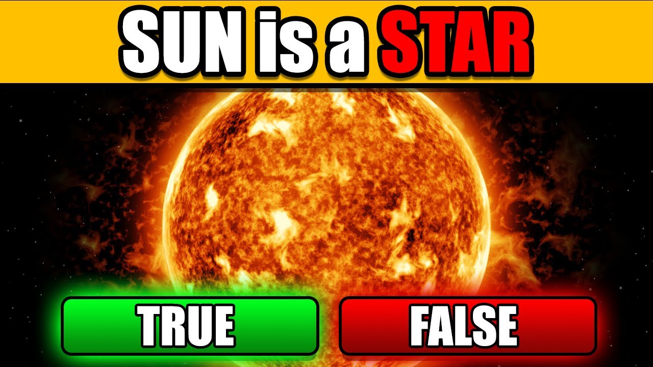 Test Your Common Sense: 100 True or False Questions ✅❌