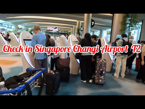 Explore Auto Check in Singapore Changi airport || Discover the magic of Changi Airport T2