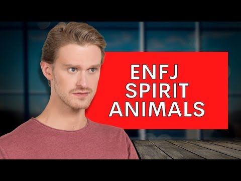 ENFJ Spirit Animals What Best Symbolizes the ENFJ|Personality Types