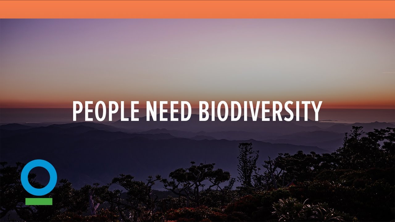 People Need Biodiversity
