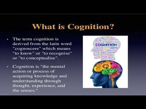Piaget PPT