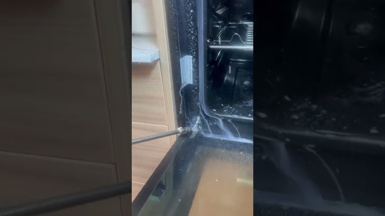 Fumigation of bedbugs?#bedbug #cleaningcompany #pestcontrol #housecleaning #cleaning #cleanwithme