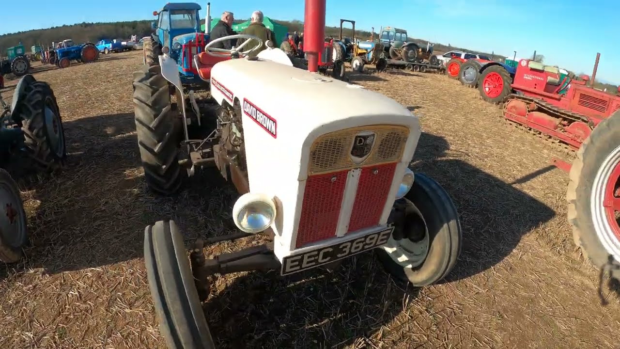 1967 David Brown 770 Selectamatic 2.4 Litre 3-Cyl Diesel Tractor (28 HP) 2025 European Ploughing