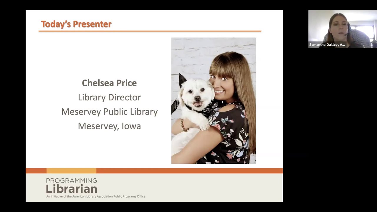 Big Programming Ideas for Small Budgets