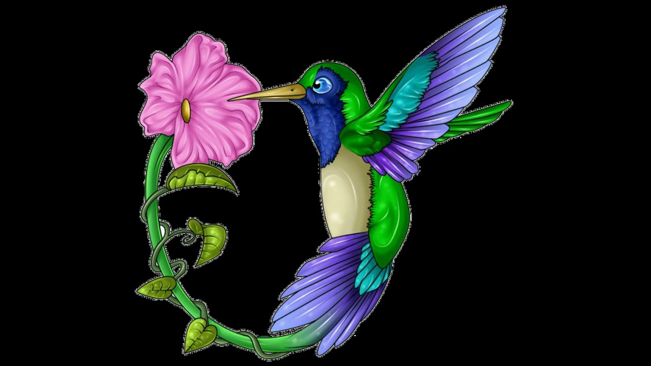 Hummingbird 1 PNGs