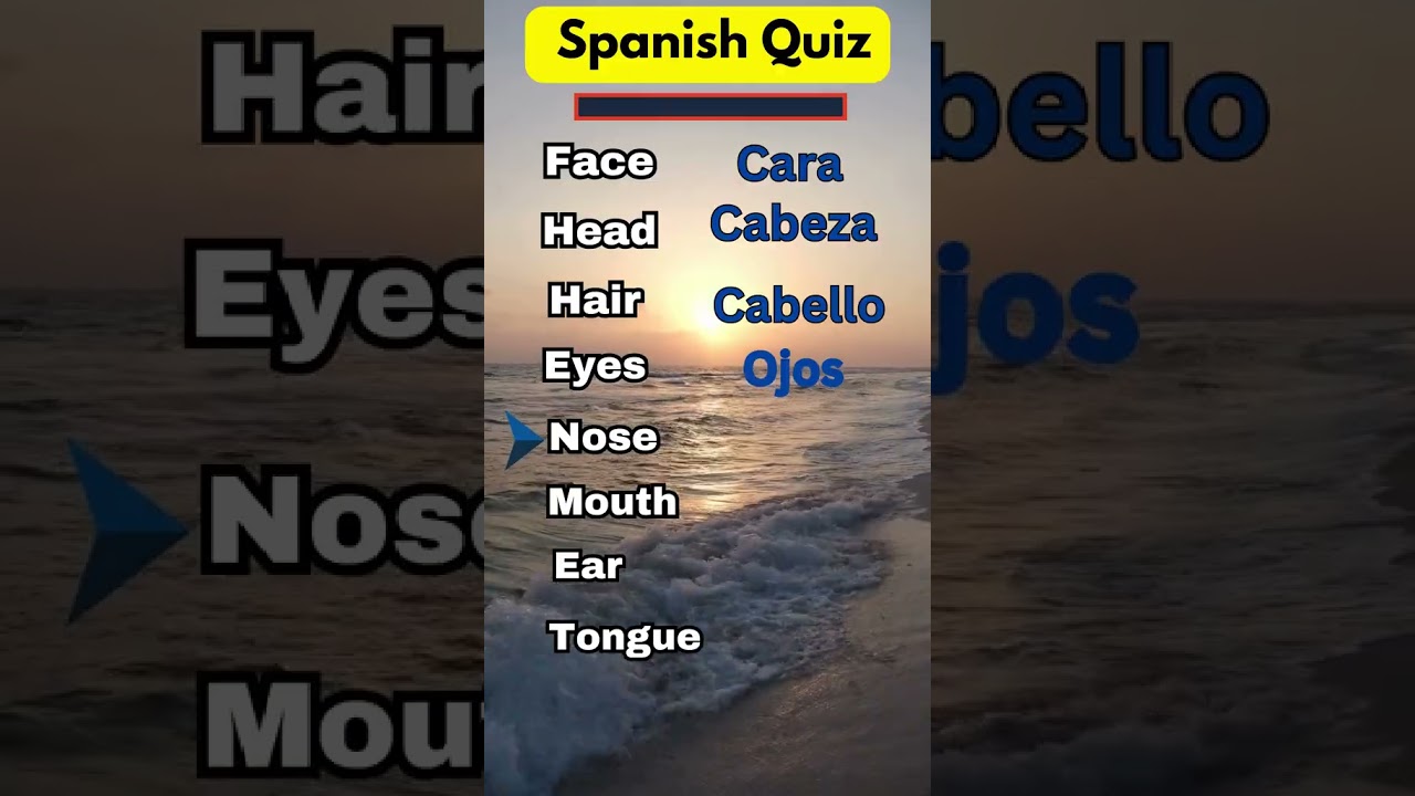 the Parts of the Body in Spanish