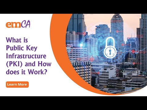 What is Public Key Infrastructure (PKI) and How does it Work?