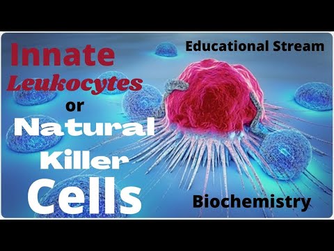 Innate Leukocytes | Natural Killer Cells | Eosinophils & Basophils In Urdu & Hindi