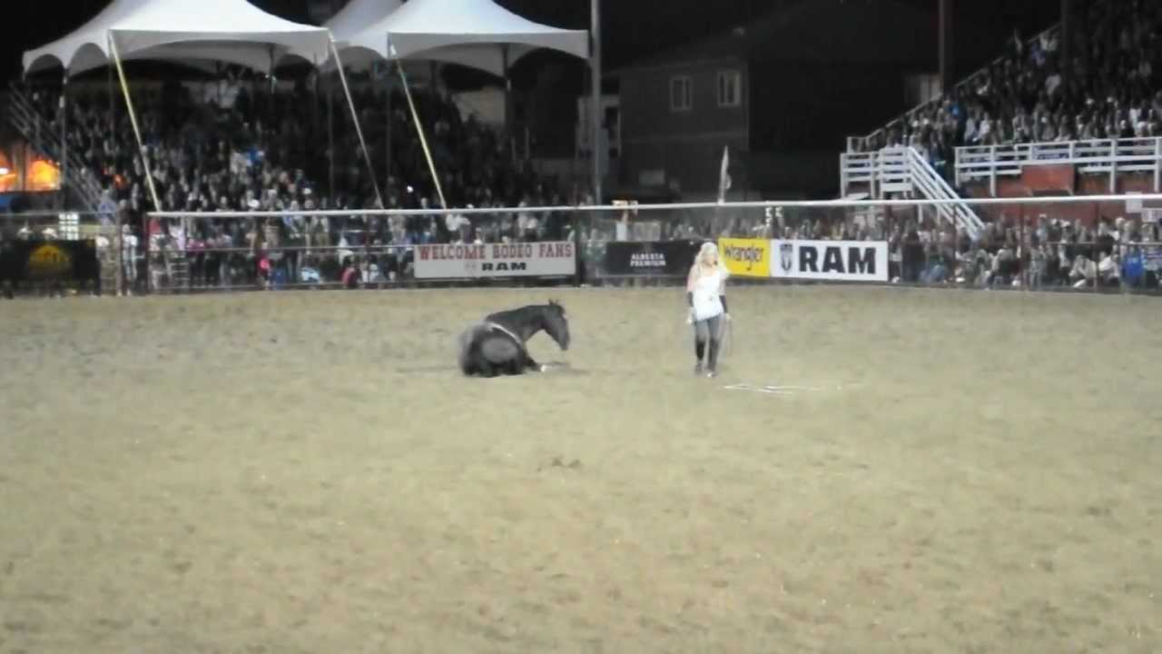 2012 Armstrong IPE Rodeo Performer