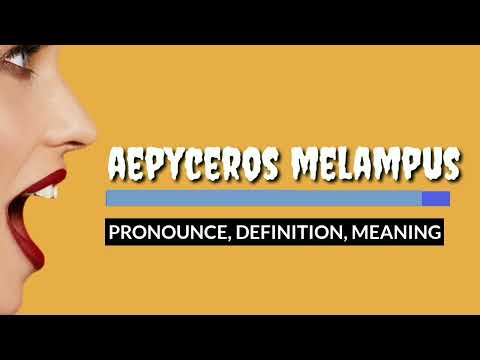 How to pronounce AEPYCEROS MELAMPUS, What is AEPYCEROS MELAMPUS? Definition, Meaning, Origin