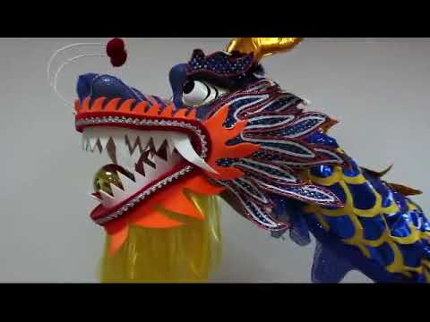 Dragon Dance Costume