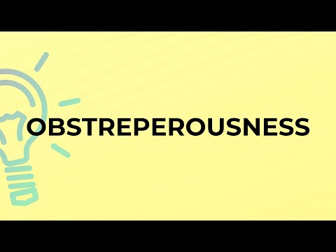 What is the meaning of the word OBSTREPEROUSNESS?