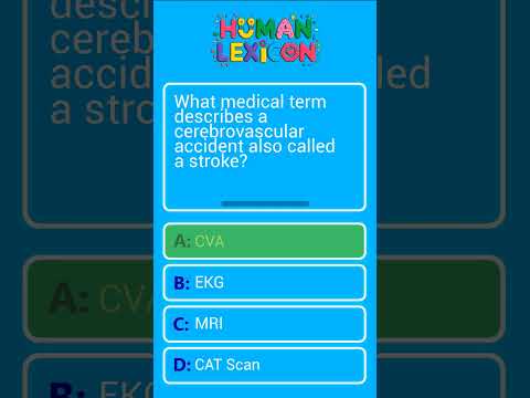What medical term describes a cerebrovascular accident also called a stroke?