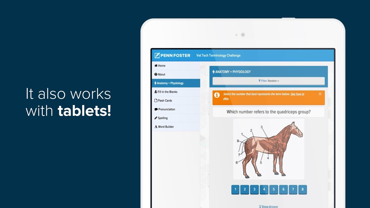 Learn How to Become a Veterinary Technician Online | Penn Foster College