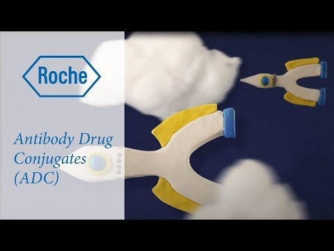 What are antibody-drug conjugates and how do they work against cancer?